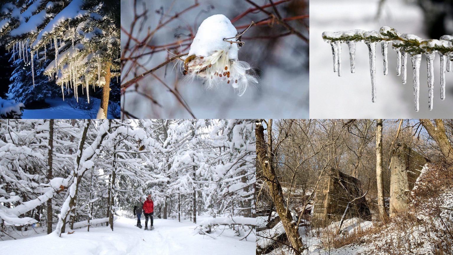 OCC Outing: Winter at Enniskillin Conservation Park. March 22, 2025 ...